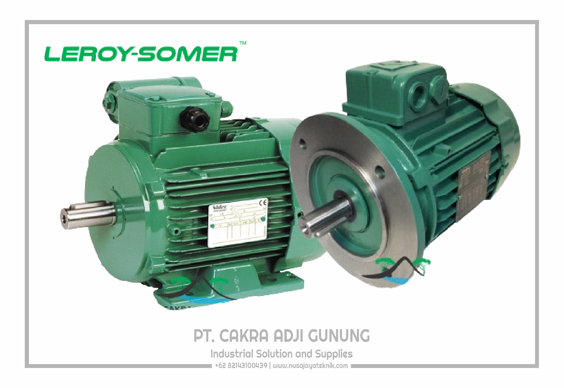 Leroy Somer Electric Motor - PT. Cakra Adji Gunung