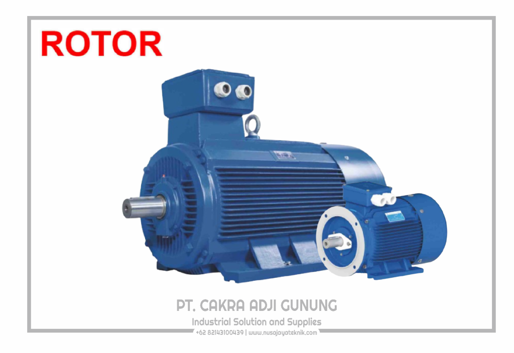Rotor Motor Double Speed - PT. Cakra Adji Gunung
